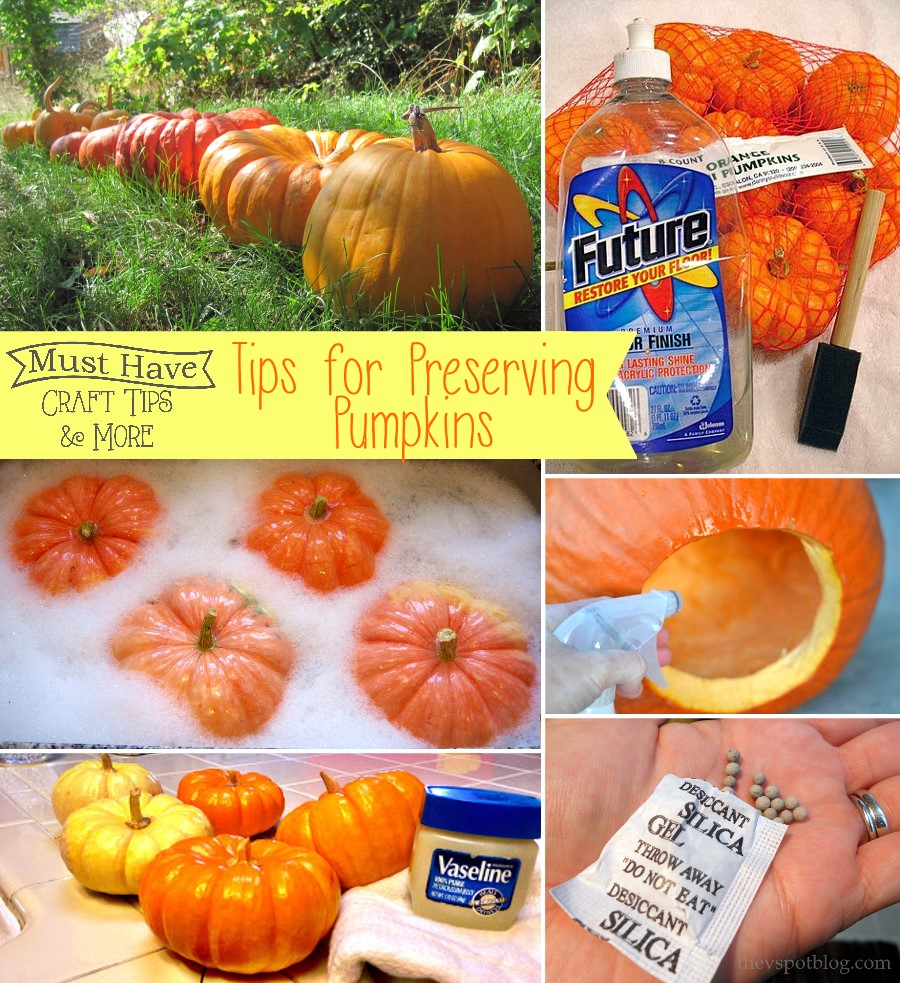 tips-for-preserving-pumpkins